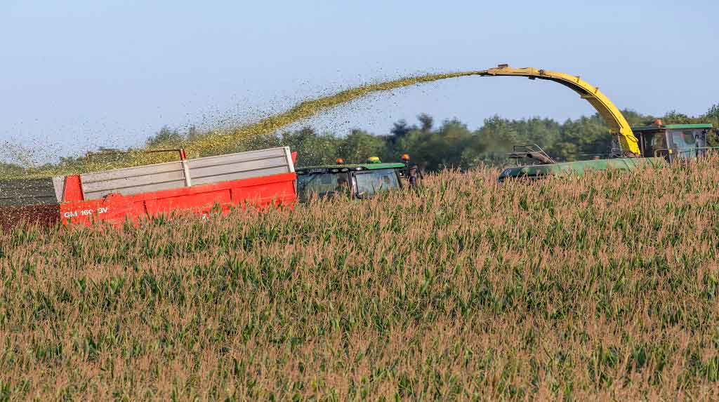 ensillage mais | Entreprise de travaux agricoles à Cambrai